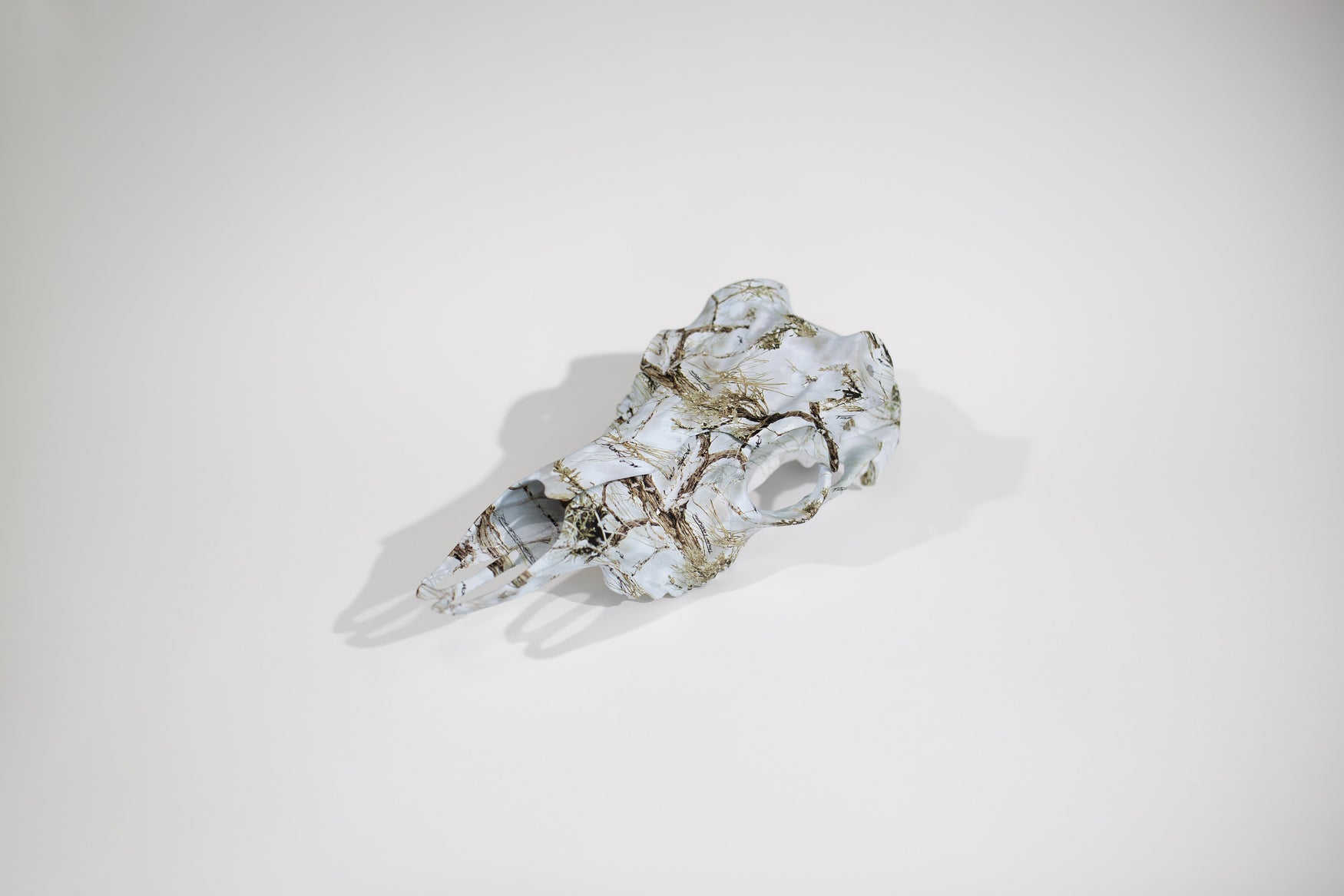 Product Showcase – Dip Fusion