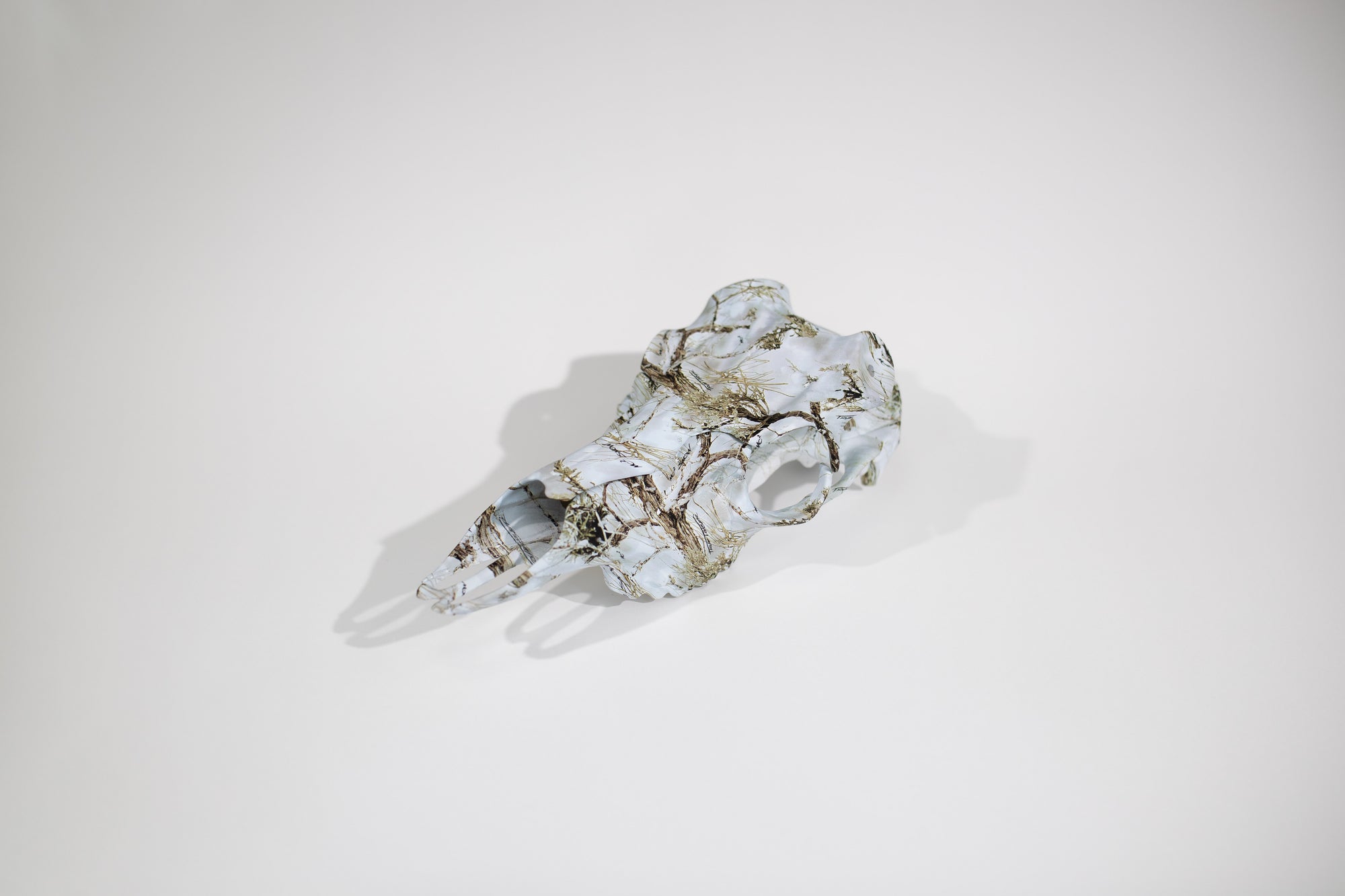 Product Showcase – Dip Fusion