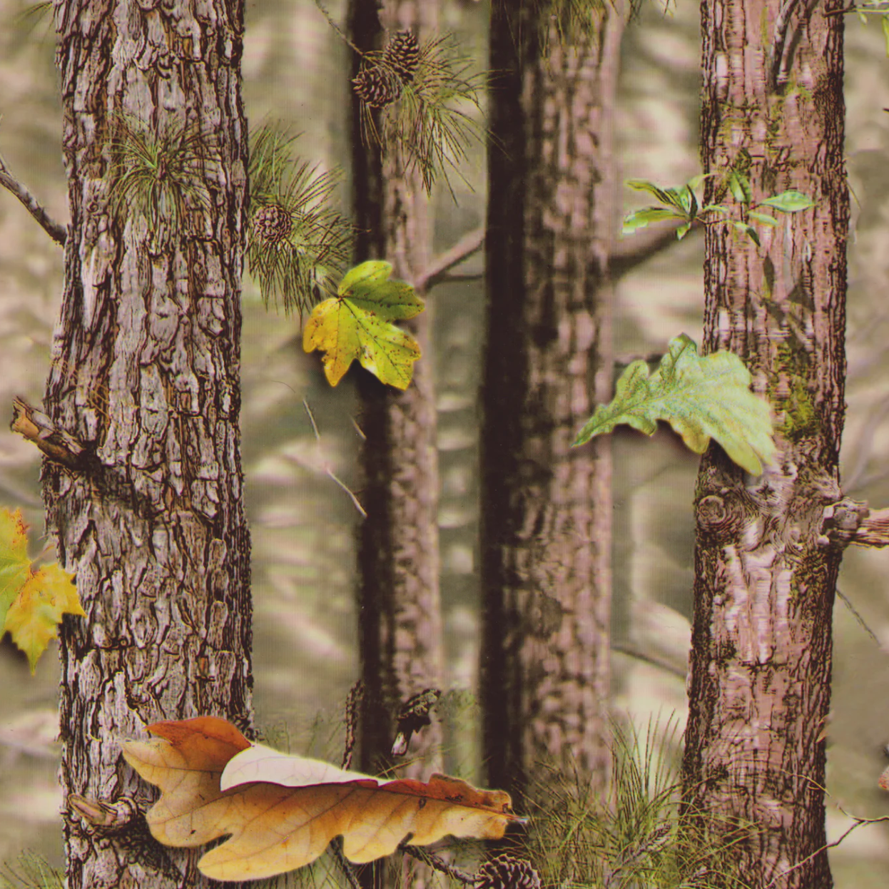 PINE TREE CAMO – Dip Fusion