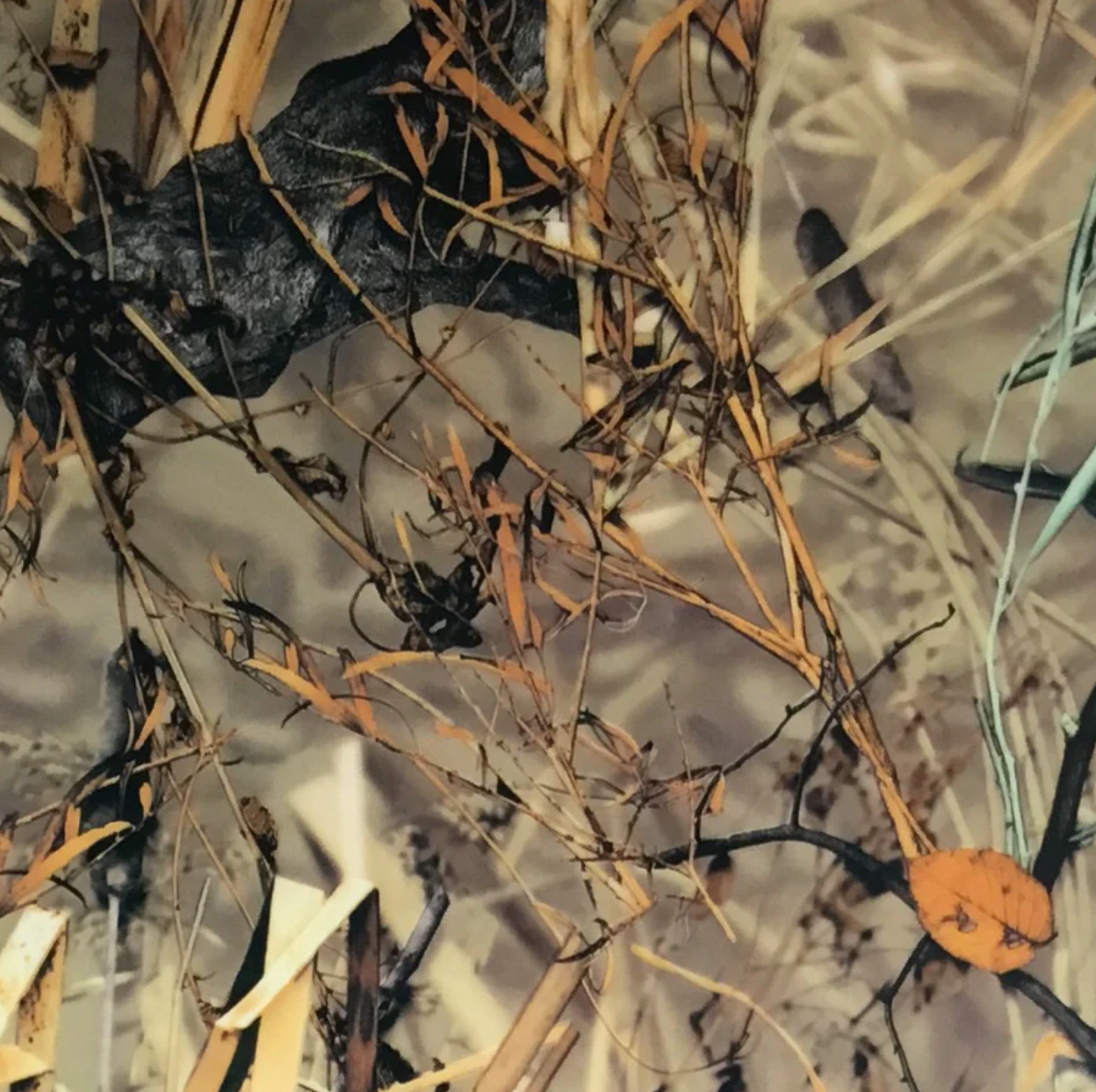 WATERFOWL CAMO – Dip Fusion